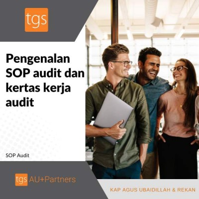 Pengenalan SOP audit dan kertas kerja audit | Learning TGS AU Partners